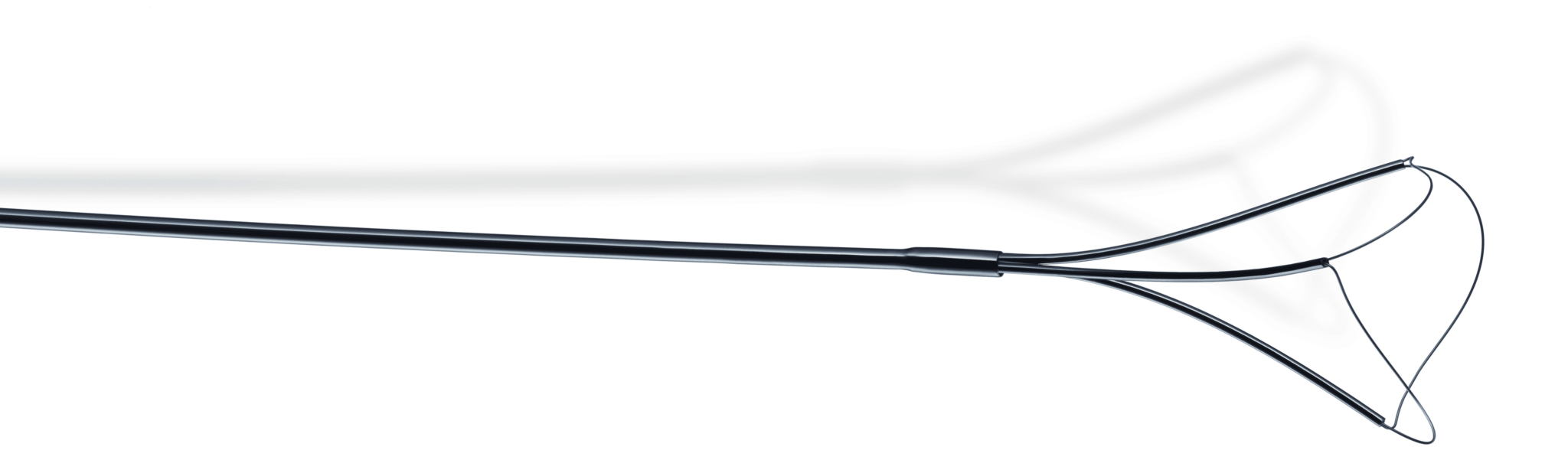 Retrieval Baskets — Dornier MedTech Americas