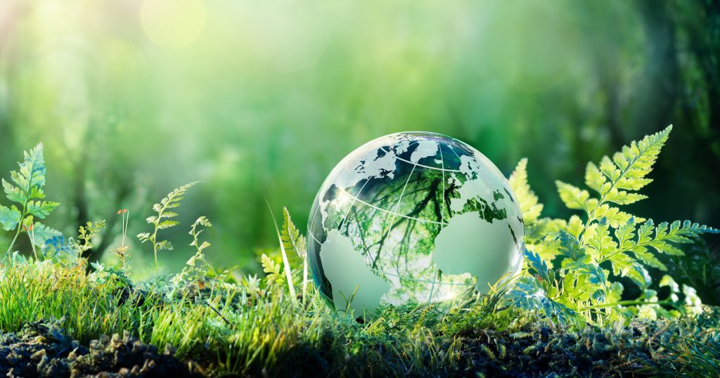 Dornier MedTech Collaborator Awarded for Poster on Low Intensity Shock ...